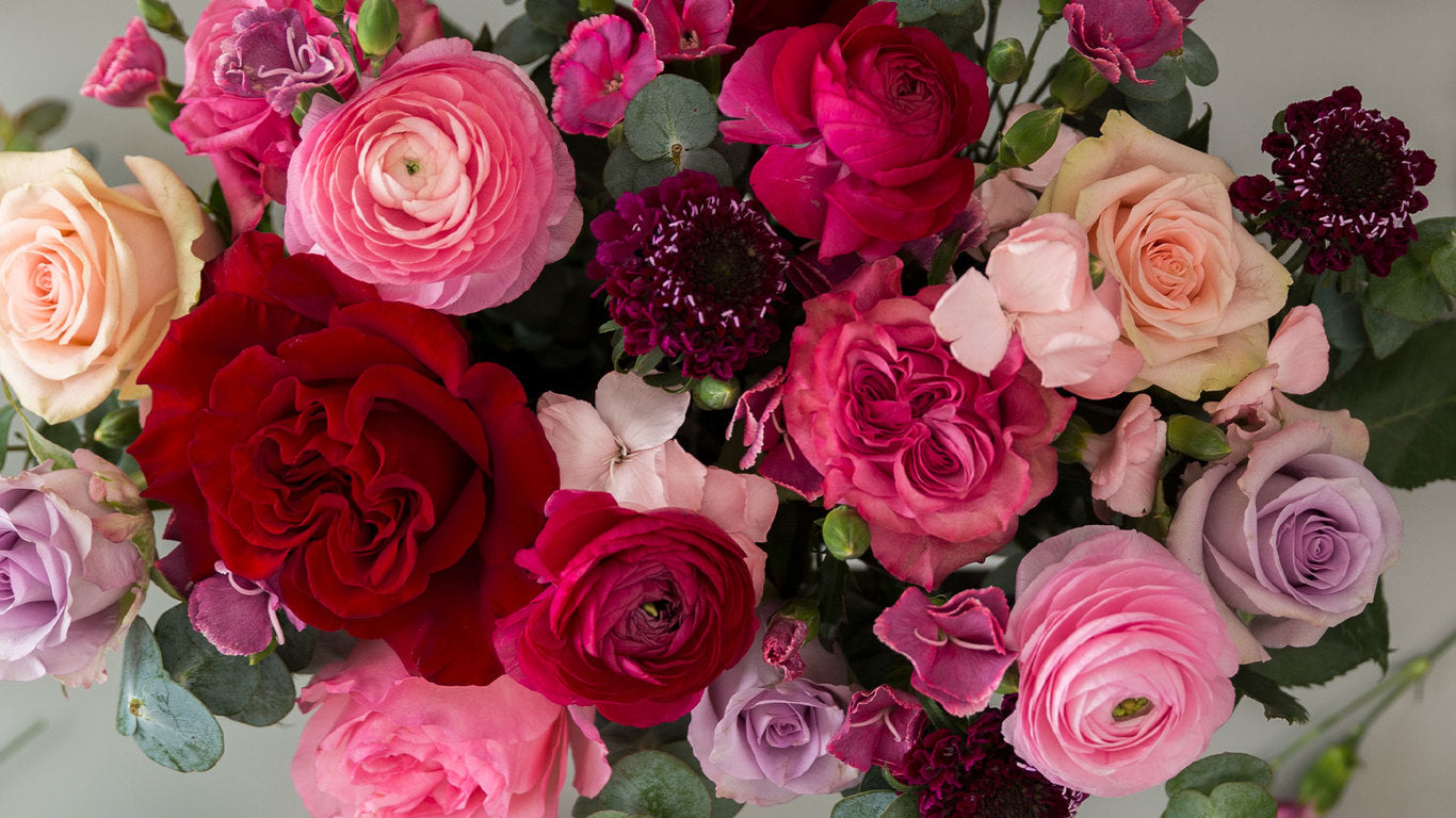 Flowers for doers | Samisacha Flowers – Sami Sacha Flowers