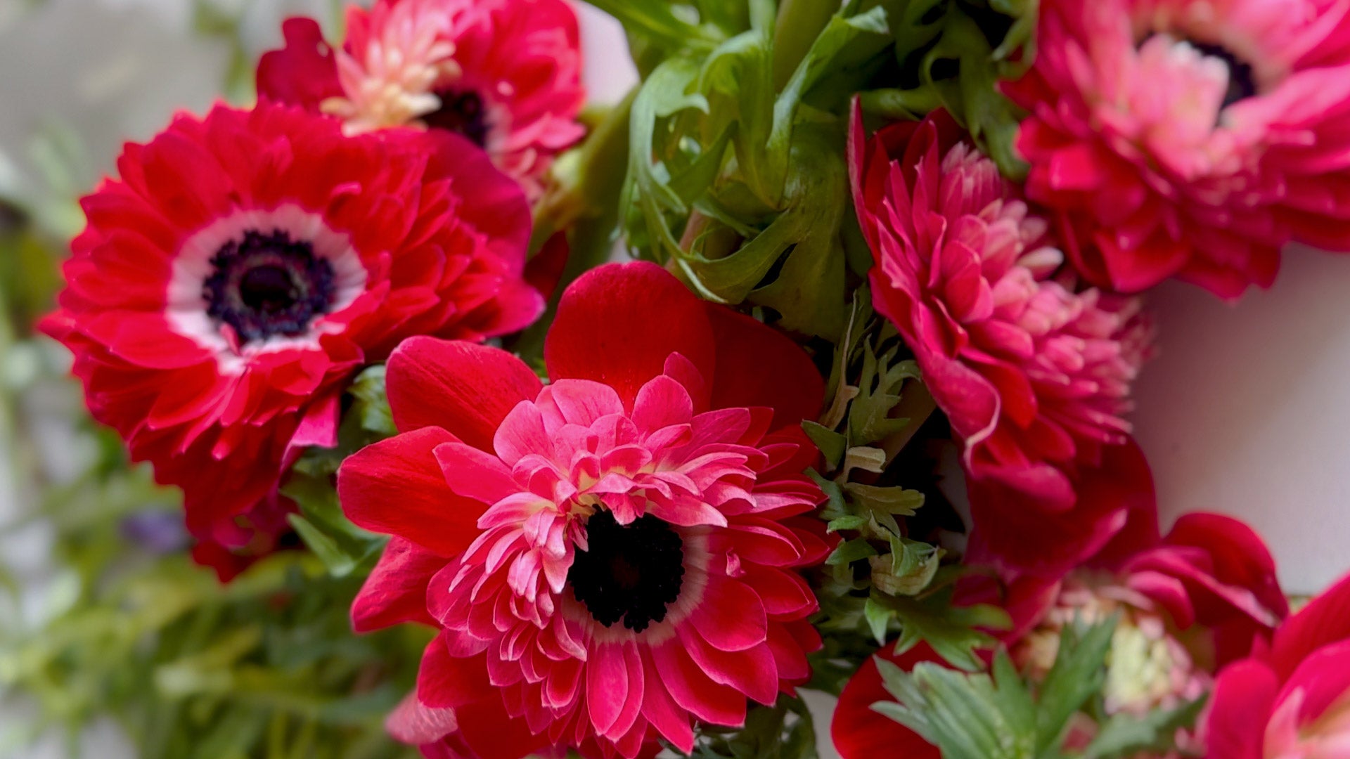 Flowers for doers | Sami Sacha Flowers