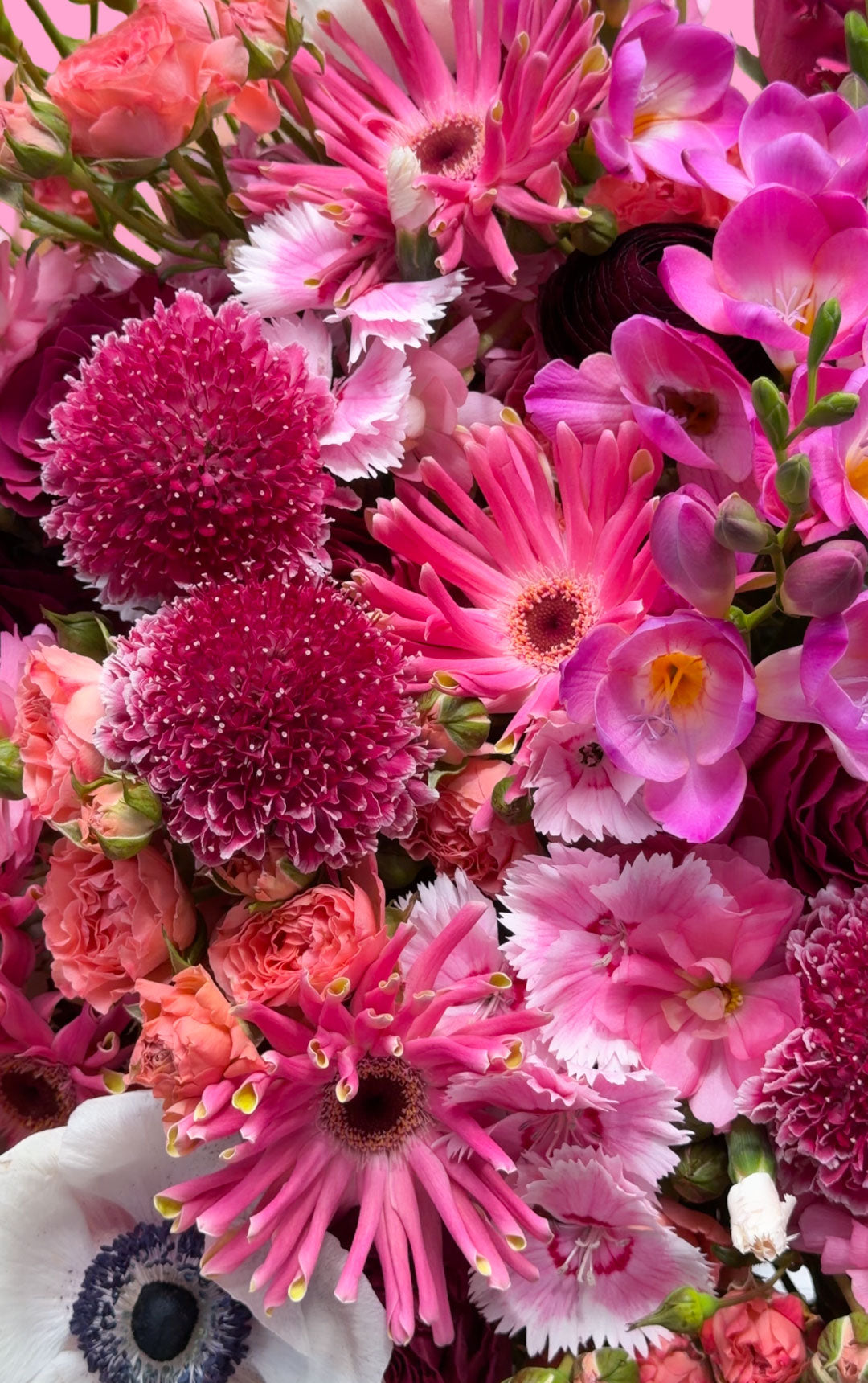 Flowers for doers | Sami Sacha Flowers