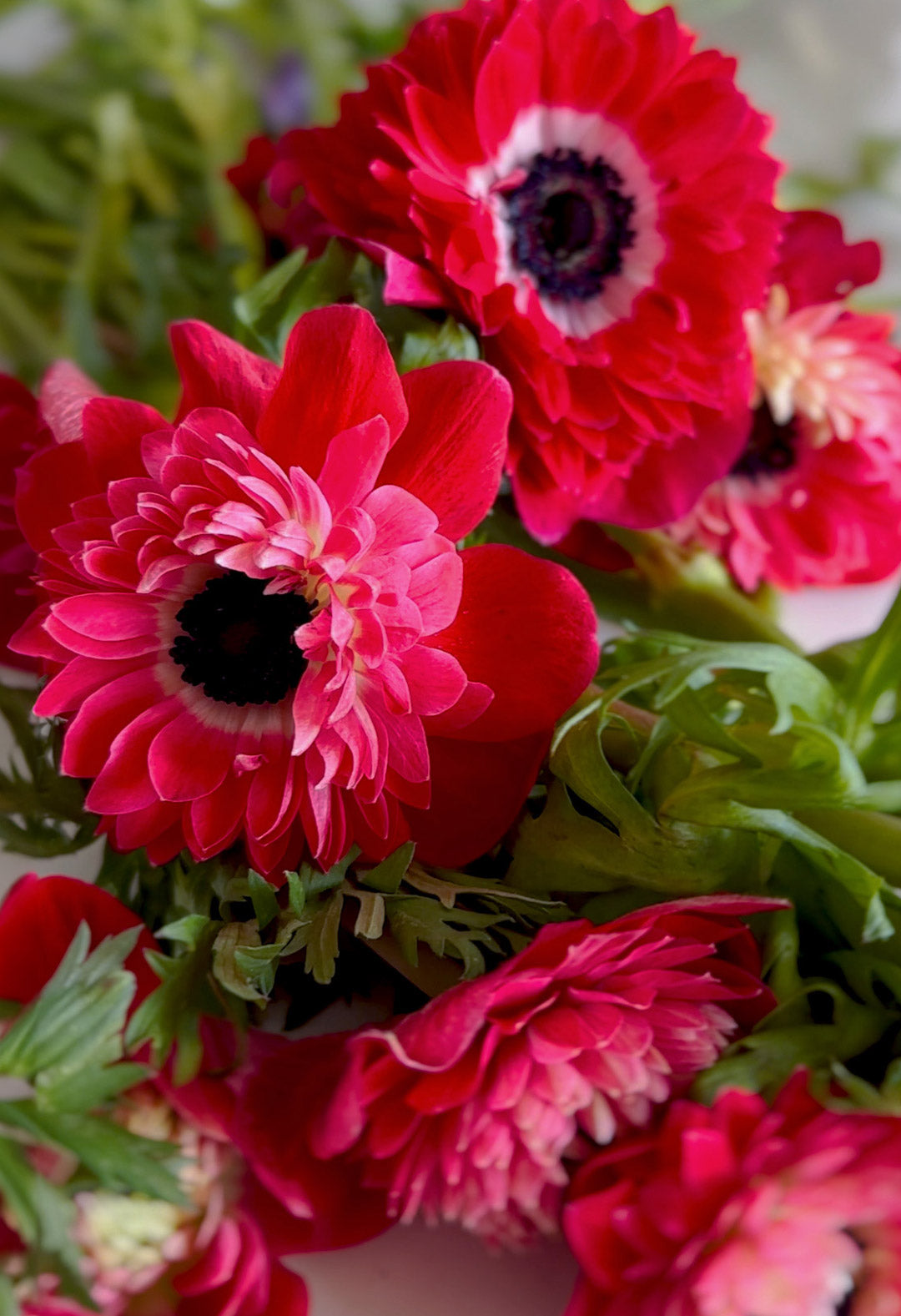 Flowers for doers | Sami Sacha Flowers
