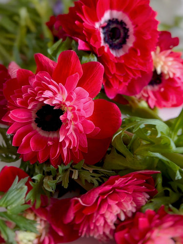 Flowers for doers | Sami Sacha Flowers